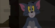 Black Cat | Tom and Jerry Wiki | Fandom