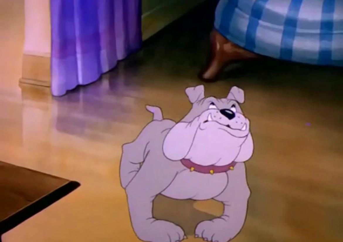 Spike Bulldog/Gallery/Tom and Jerry | Tom and Jerry Wiki | Fandom
