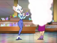 Joy Riding Jokers | Tom and Jerry Wiki | Fandom