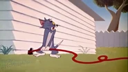 Landing Stripling | Tom and Jerry Wiki | Fandom