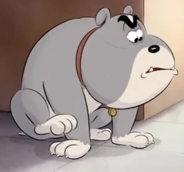 Tom And Jerry Spike The Dog