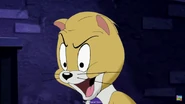 Topsy Cat/Gallery | Tom and Jerry Wiki | Fandom