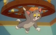 Tim Cat | Tom and Jerry Wiki | Fandom