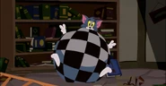 Black Cat | Tom and Jerry Wiki | Fandom