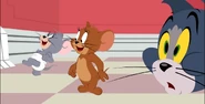 Tuffy Love/Gallery | Tom and Jerry Wiki | Fandom