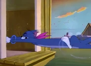 Posse Cat/Gallery | Tom and Jerry Wiki | Fandom