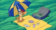 Spaced Out Cat | Tom and Jerry Wiki | Fandom