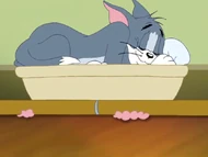 Xtreme Trouble/Gallery | Tom and Jerry Wiki | Fandom