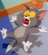 Tim Cat | Tom and Jerry Wiki | Fandom