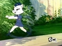 Katy O'Kitty/Gallery | Tom and Jerry Wiki | Fandom