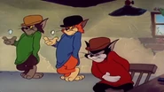 Muscle Cats | Tom and Jerry Wiki | Fandom