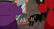 Black Cat | Tom and Jerry Wiki | Fandom