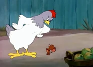 Hen | Tom and Jerry Wiki | Fandom