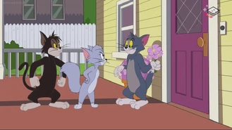 Tom Cat/Gallery | Tom and Jerry Wiki | Fandom