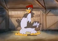 Hen/Gallery | Tom and Jerry Wiki | Fandom