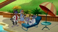 Topsy Cat | Tom and Jerry Wiki | Fandom