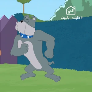 Discuss Everything About Tom and Jerry Wiki | Fandom