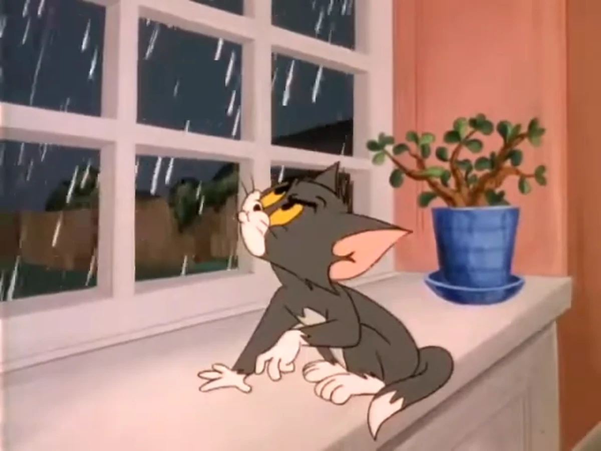 Tom Cat/Gallery/The Tom and Jerry Comedy Show | Tom and Jerry Wiki | Fandom