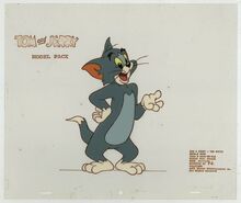 Tom Cat/Gallery | Tom and Jerry Wiki | Fandom