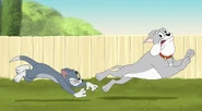 Game of Mouse & Cat | Tom and Jerry Wiki | Fandom