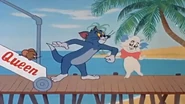 Calypso Cat | Tom and Jerry Wiki | Fandom
