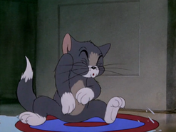 Tom Cat/Gallery | Tom and Jerry Wiki | Fandom