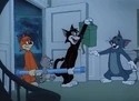 Lightning Cat | Tom and Jerry Wiki | Fandom