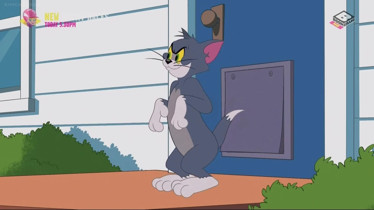 Anger Mismanagement/Gallery | Tom and Jerry Wiki | Fandom