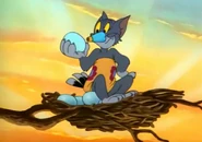 Flirty Birdy | Tom and Jerry Wiki | Fandom