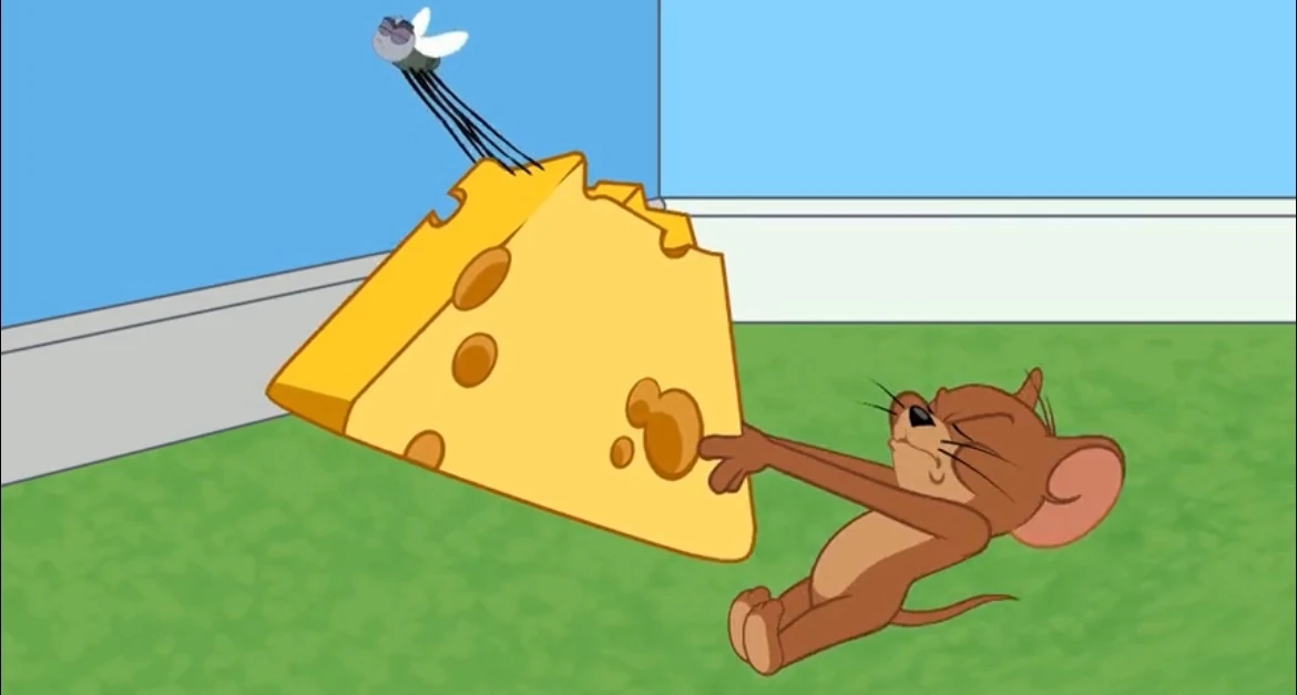 No Fly Zone/Gallery | Tom and Jerry Wiki | Fandom