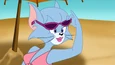 Beach Bunny Kitty/Gallery | Tom and Jerry Wiki | Fandom