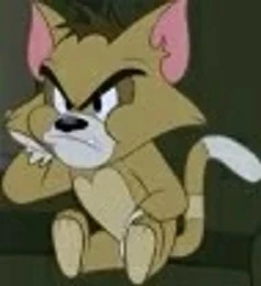Cat Bully | Tom and Jerry Wiki | Fandom