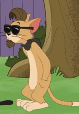 Jake Cat | Tom and Jerry Wiki | Fandom