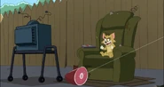 Cat Bully | Tom and Jerry Wiki | Fandom