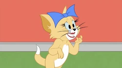 The Tom And Jerry Show Toodles
