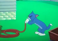 Hic-cup Pup | Tom and Jerry Wiki | Fandom