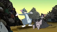 City Dump Chumps | Tom and Jerry Wiki | Fandom