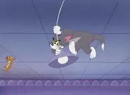 Tom and Jerry: The Magic Ring/Gallery | Tom and Jerry Wiki | Fandom