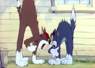 Sufferin' Cats! | Tom and Jerry Wiki | Fandom