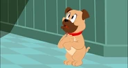 Pugsy | Tom and Jerry Wiki | Fandom