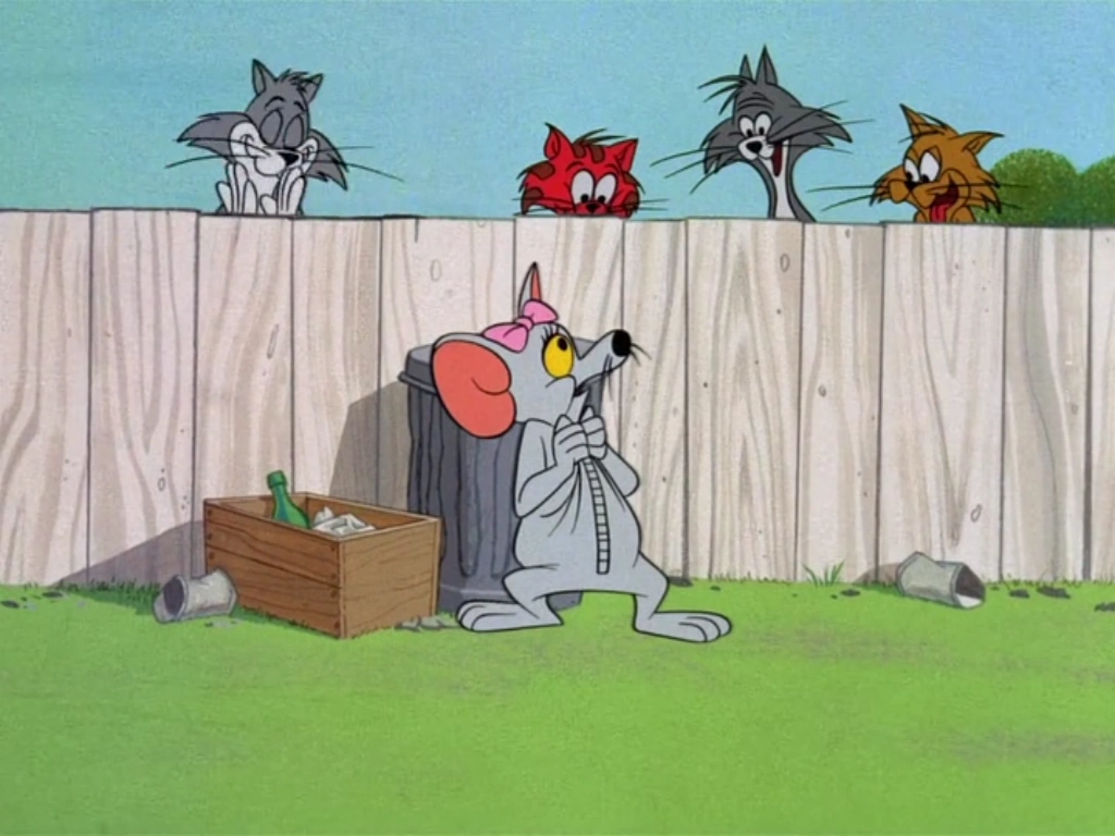 Stray Cats | Tom and Jerry Wiki | Fandom