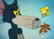 Crashing Into a Mouse Hole | Tom and Jerry Wiki | Fandom