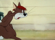 Meathead Cat | Tom and Jerry Wiki | Fandom