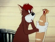 Meathead Cat | Tom and Jerry Wiki | Fandom