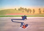 Down and Outing/Gallery | Tom and Jerry Wiki | Fandom