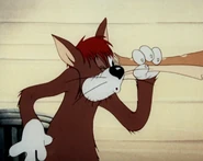 Meathead Cat | Tom and Jerry Wiki | Fandom