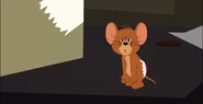 Tuffy Love/Gallery | Tom and Jerry Wiki | Fandom