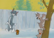 Give and Tyke | Tom and Jerry Wiki | Fandom
