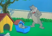 Hic-cup Pup | Tom and Jerry Wiki | Fandom