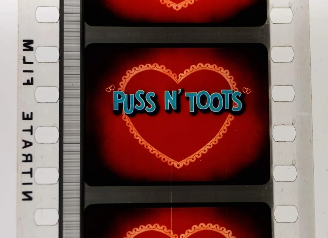 Puss n' Toots/Gallery | Tom and Jerry Wiki | Fandom